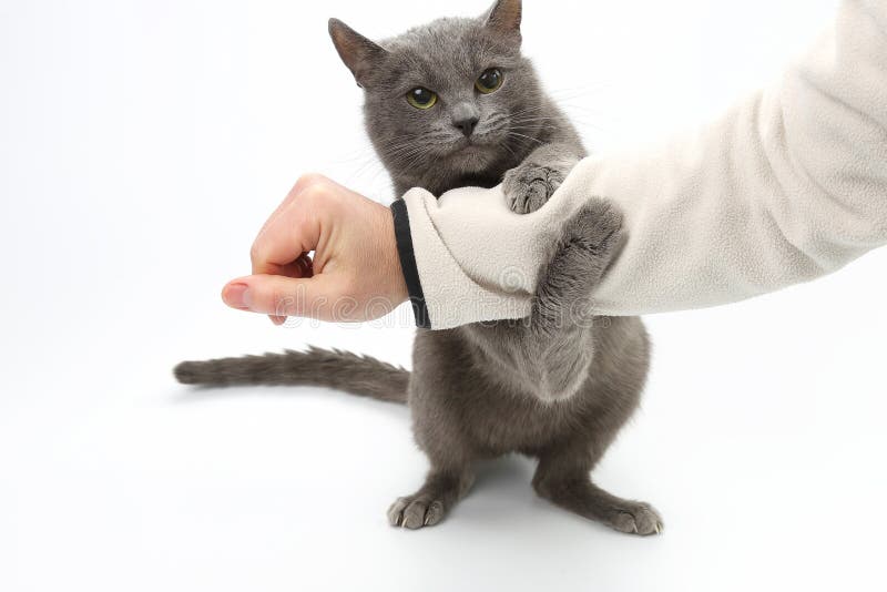 Grabbed Stock Photos - Download 1,280 Royalty Free Photos