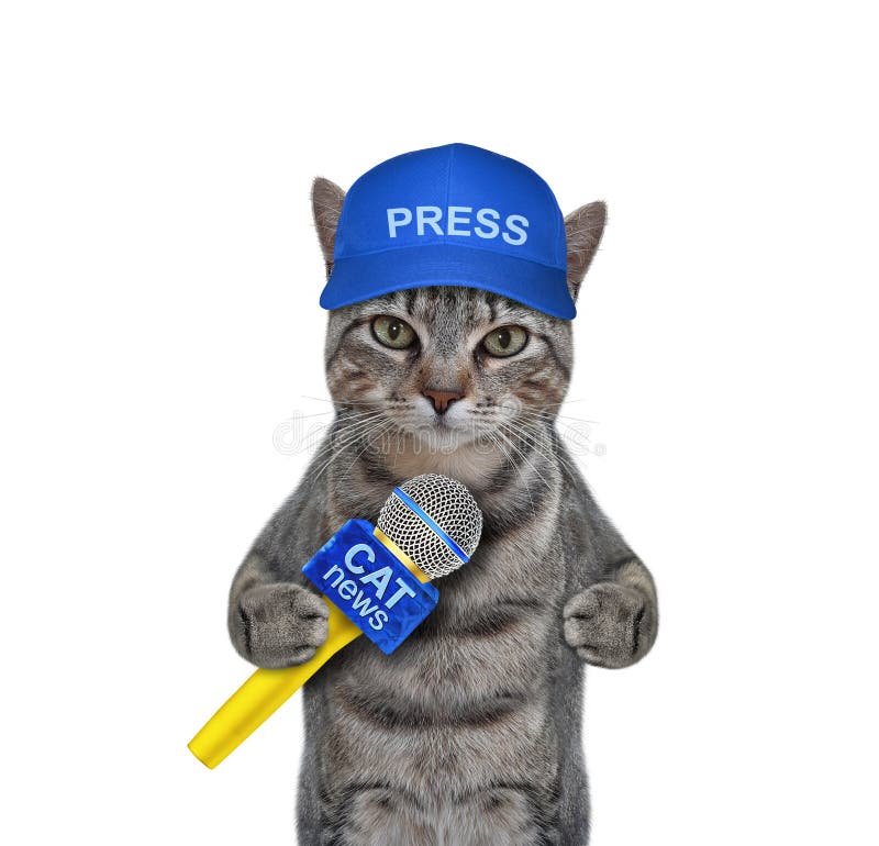 Cat Journalist Stock Illustrations – 94 Cat Journalist Stock ...
