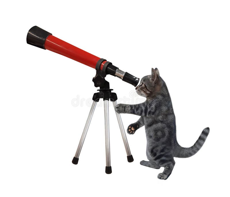 301 Cat Telescope Stock Photos - Free & Royalty-Free Stock Photos from ...