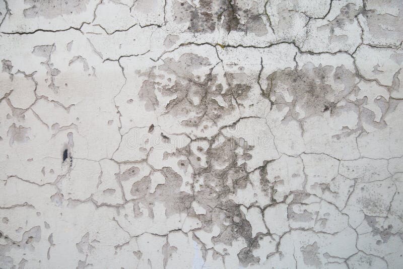 White Cement Wall with Mold Texture Background Stock Image - Image of ...