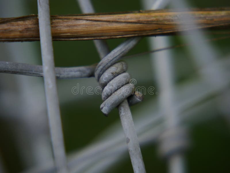 A Gray Coiled Wire in Close-up Stock Image - Image of macro, wire ...