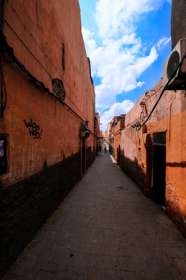 Gray Concrete Pathway Between Building Picture. Image: 114603565
