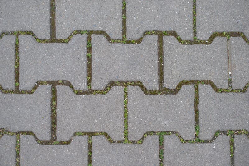 Concrete Pavement Blocks with Moss Stock Photo - Image of pedestrian ...