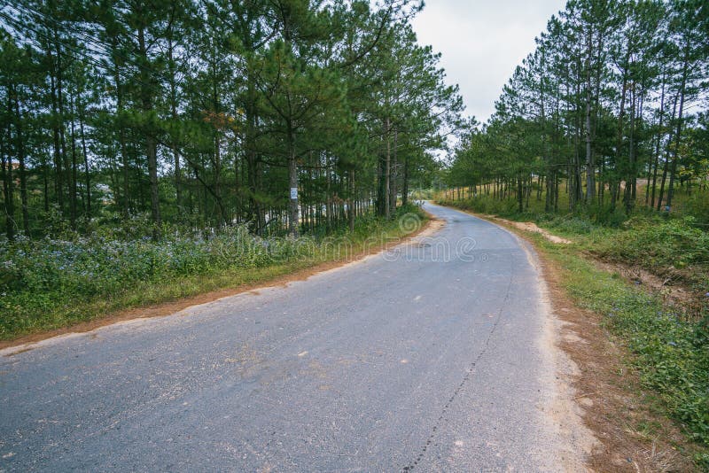 Gray Concrete Road stock photo. Image of forest, environment - 109915478