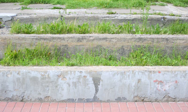 Gray Concrete Steps Overgrown with Green Grass Stock Image - Image of ...