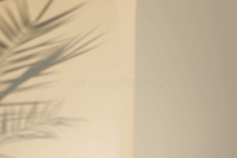 Gray Concrete Wall with Foliage Shadow Texture. the Texture of the ...