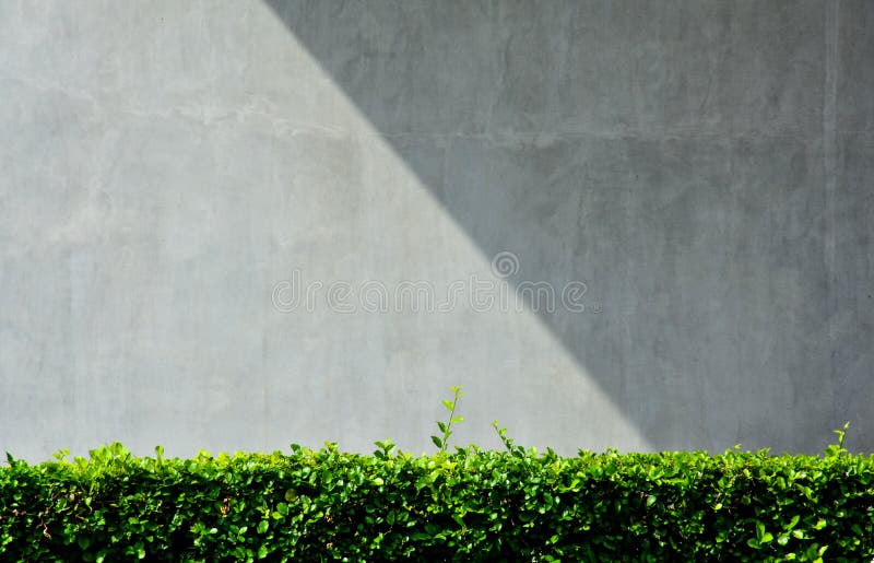 Gray Concrete Wall with Shadow from Building. Stock Photo - Image of ...
