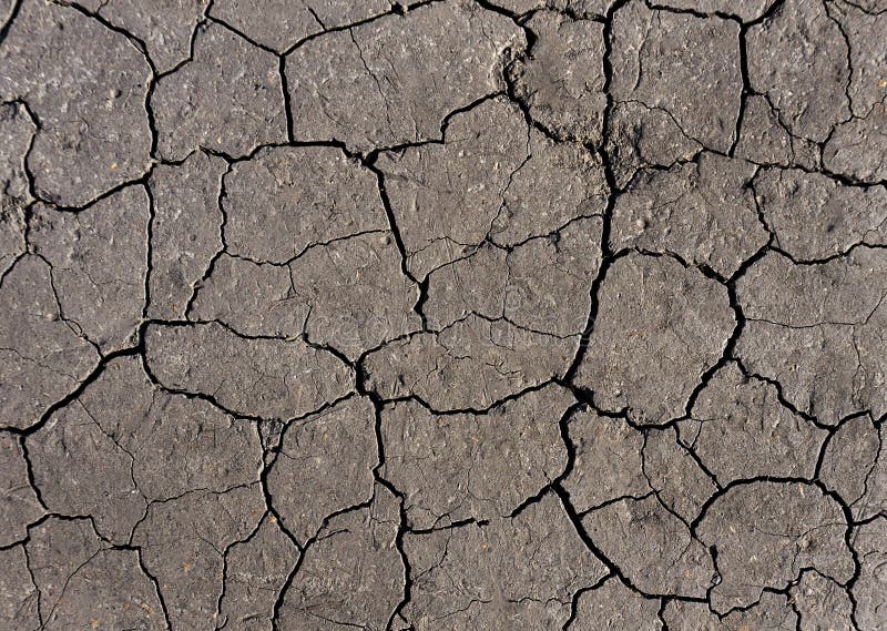 Gray Cracked Earth Background Texture Stock Image - Image of ...