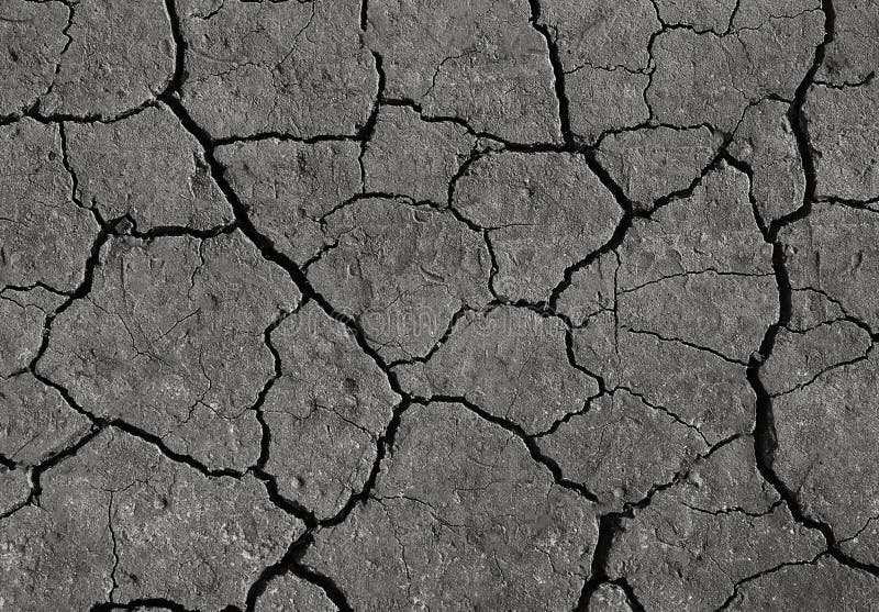 Gray Cracked Earth Background Texture Stock Photo - Image of background ...