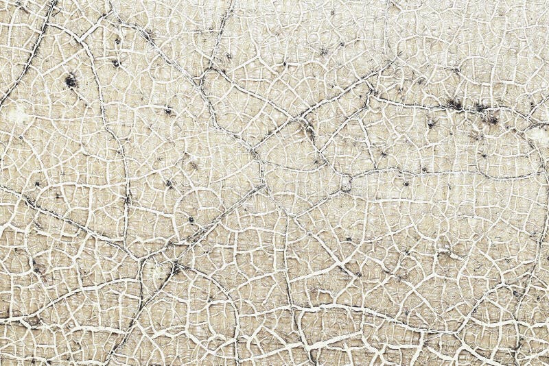 Gray Cracked Transparent Paint Texture Background Stock Image - Image ...