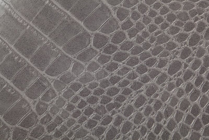 Crocodile Scale Texture