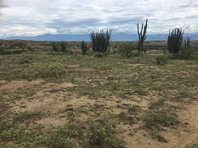 The Gray Desert of the Tatacoa Desert, Colombia Stock Photo - Image of ...