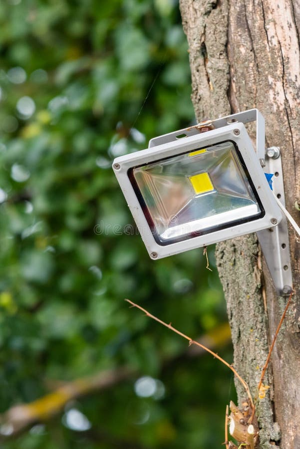 Gray Diod Spotlight on Tree. Lighting Equipment Stock Photo - Image of ...