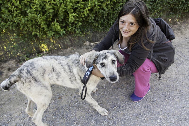 Gray Dog woman stock image. Image of owner, hound, girl - 60824655