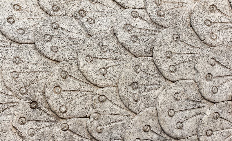 Gray Dragon texture stock image. Image of thailand, dragon - 119696791