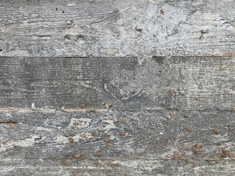 Gray Dry Aged Rough Wooden Textured As a Background Stock Photo - Image ...