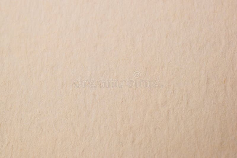 Gray Dusty Beige Cardboard Texture, Eggshell Color Paper Background ...