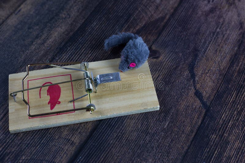 Toy Mouse Caught in a Mousetrap Stock Image - Image of equipment ...