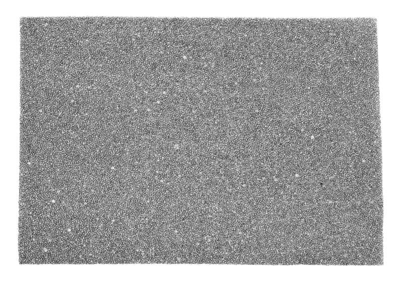Gray Foam Rubber Isolated on White Background Stock Photo - Image of ...