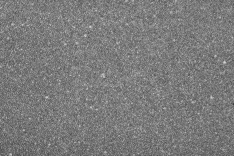 Gray Foam Texture As Background Stock Image - Image of packaging, blank ...