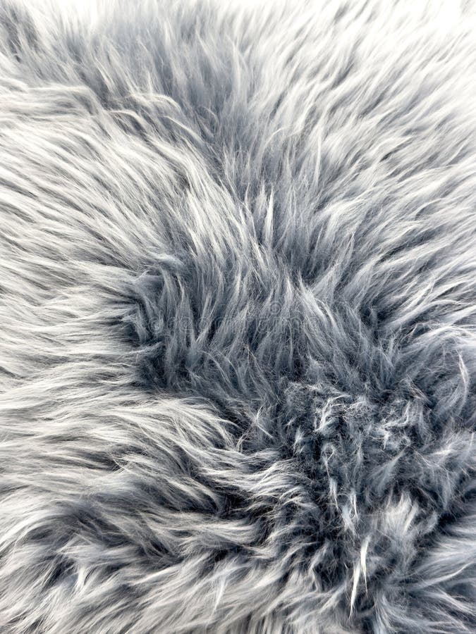 Gray Fur As an Abstract Background. Texture Stock Photo - Image of skin ...