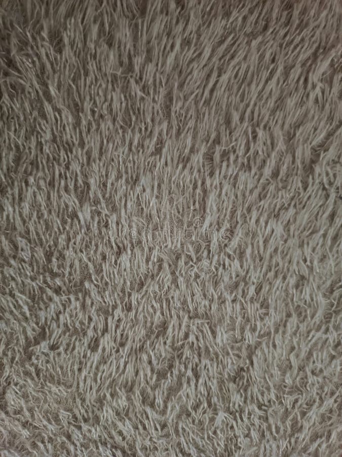 Gray fur rug stock image. Image of apartment, backdrop - 269647113