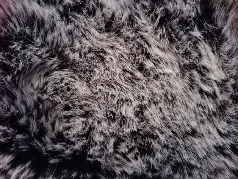 7,973 Animal Fur Texture Gray Stock Photos - Free & Royalty-Free Stock ...