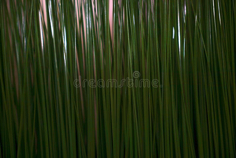 Gray Glass Stained Glass with Rhombus Pattern Stock Photo - Image of ...