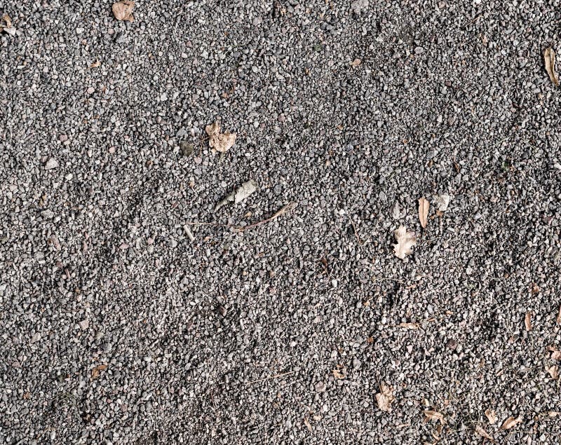 Gray Grainy Sandy Ground. Background, Texture. Stock Photo - Image of ...
