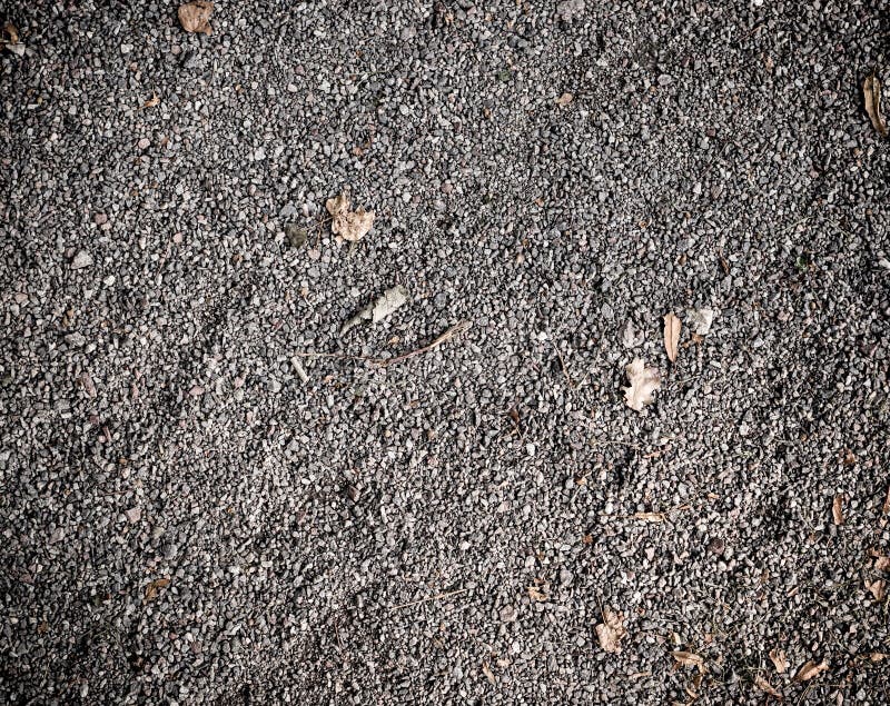 Gray Grainy Sandy Ground. Background, Texture. Stock Photo - Image of ...