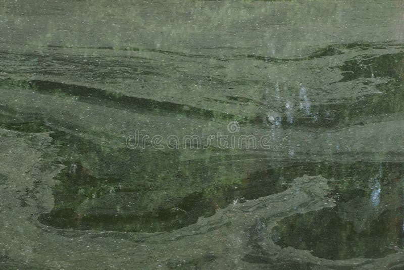 Gray Green Background from the Polluted Water Stock Photo - Image of ...