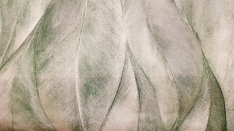 Green Muslin Photography Backdrop Stock Image - Image of studio ...