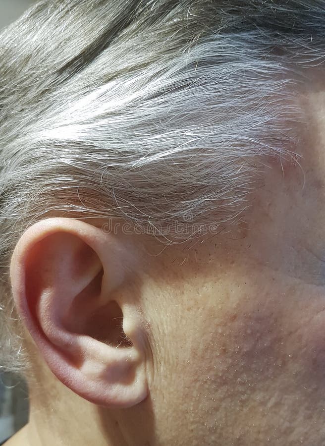 Gray-haired Man, Ear, Aging Stock Image - Image of deaf, front: 108703407