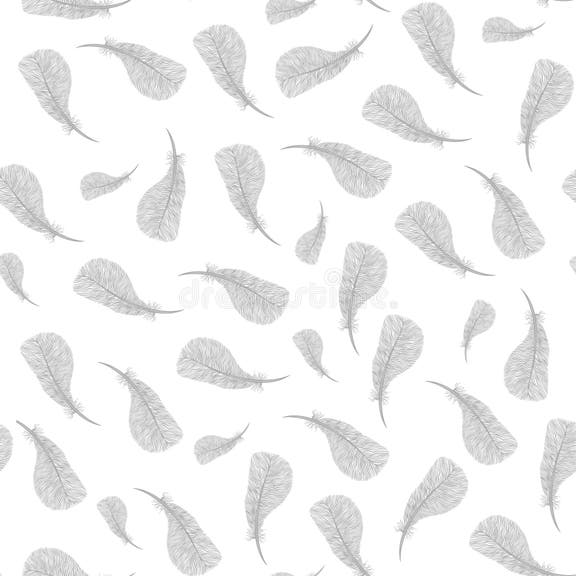 Gray Hen Feathers of Different Sizes Stock Illustration - Illustration ...