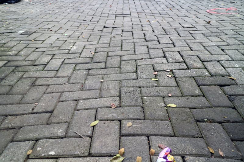 Patterned Concrete Paving Blocks with Dry Fallen Leaves Scattered ...