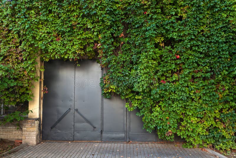 Gray iron gate stock image. Image of background, iron - 230505755