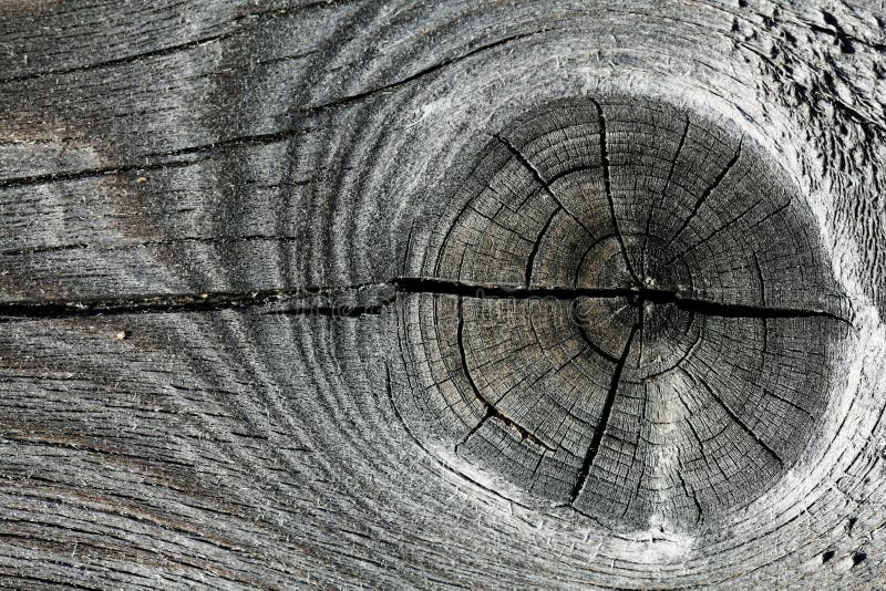 Knotty Wood Texture stock image. Image of design, sawn - 33227865