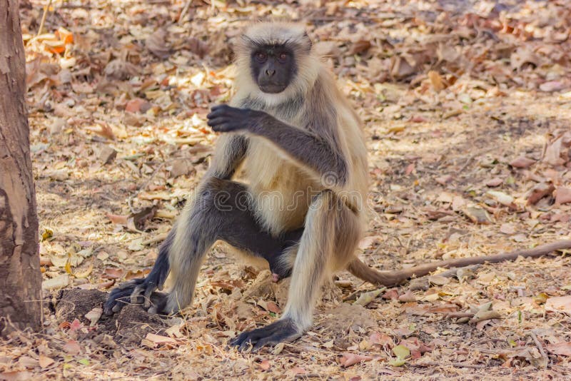 4 To 24 Low Vision Stock Photos - Free & Royalty-Free Stock Photos from ...