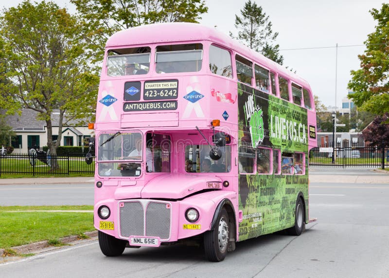 Gray Line Bus imagem editorial. Imagem de turismo, cinzento - 73164425