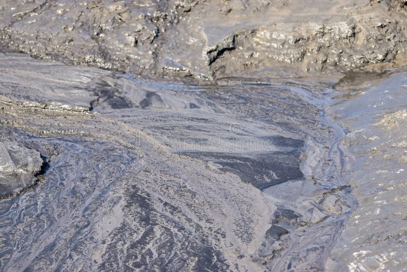 Gray marsh soil stock photo. Image of ecology, surface - 53764284