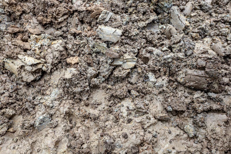 1,344 Gray Wet Mud Background Photos - Free & Royalty-Free Stock Photos ...