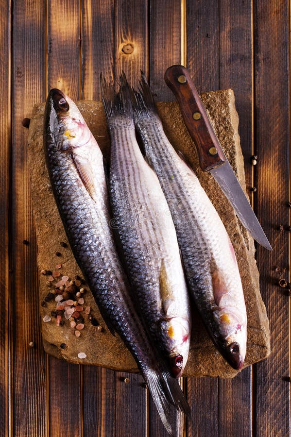 Gray Mullet Fish (Kefal) on Stone Board Stock Photo - Image of view ...