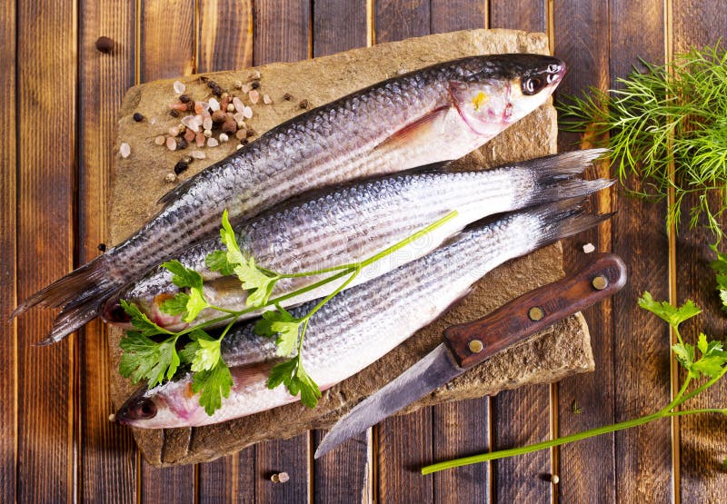 Gray Mullet Fish (Kefal) on Stone Board Stock Photo - Image of dill ...