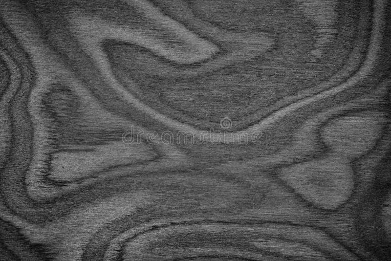 Gray Natural Wood Texture Pattern Stock Image - Image of backdrop ...