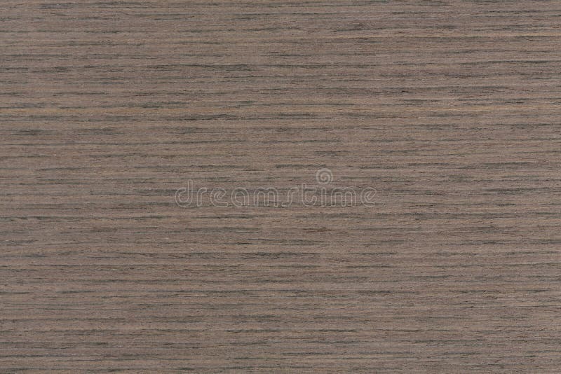 Gray Oak Wood Texture. Natural Background for Design Stock Image ...