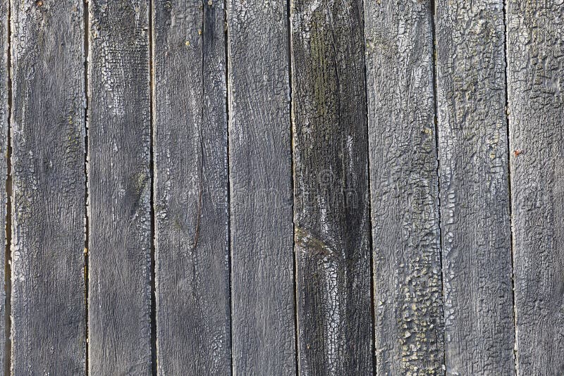 Gray Old Boards Texture or Background Stock Photo - Image of nature ...