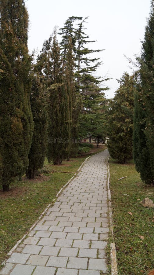 Paved with Tiles Path in the Park. Paving Slabs and Lanterns in a Park ...