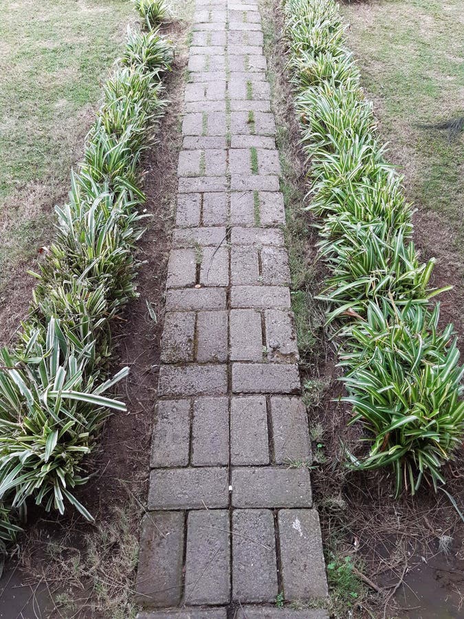 Gray Paving Stone Pathway with Plants and Grass Stock Image - Image of ...