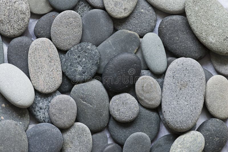 Gray pebble stock photo. Image of leaf, background, nature - 11362230