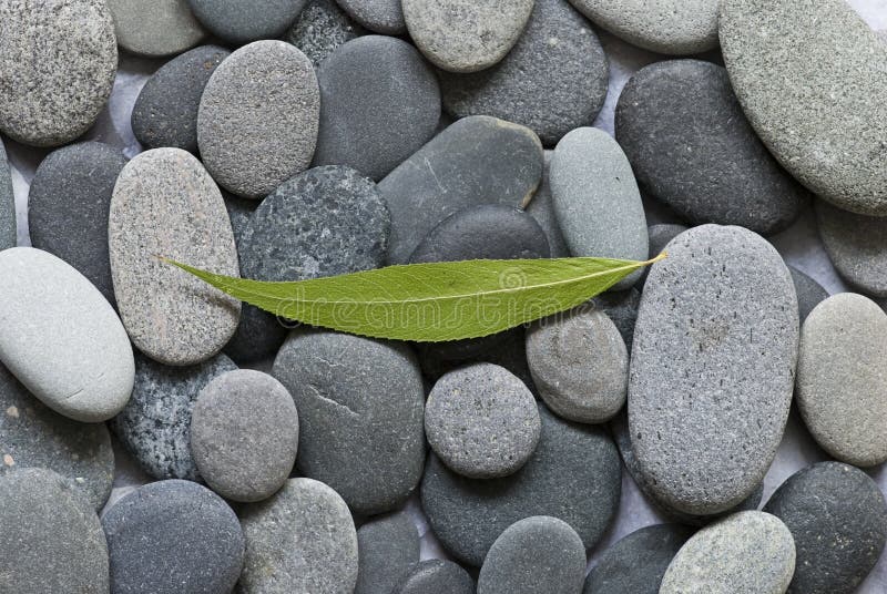 Gray pebble stock photo. Image of green, gray, pebble - 11475920